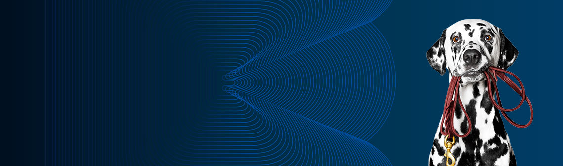 Veterinary best practice - Eschmann